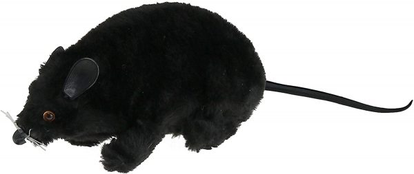 Fake Rat | Theatre Garage